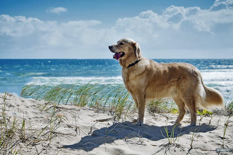 Kythira Travel Guide Villages Beaches Map of Kythira - KYTHIRA